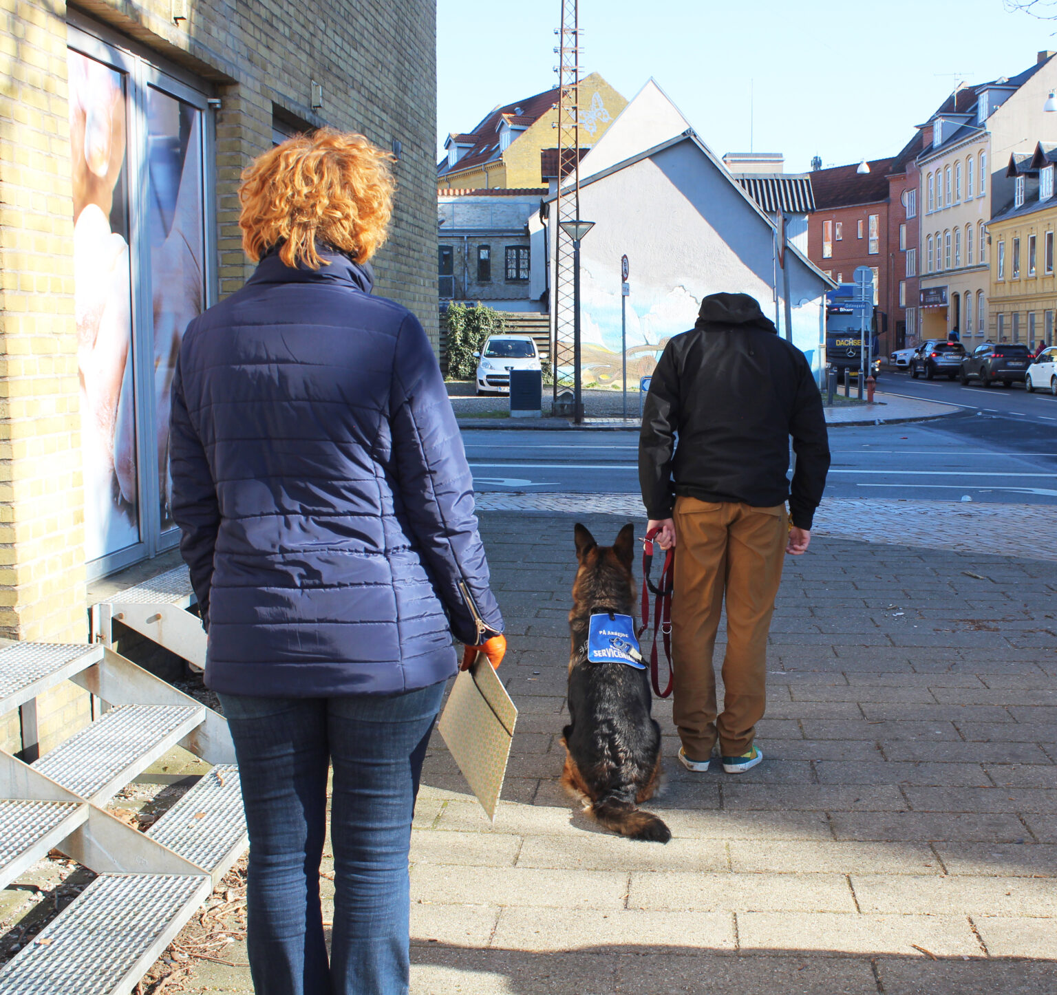 Ekvipagen: dig og din psykiatriske servicehund - Trinitas